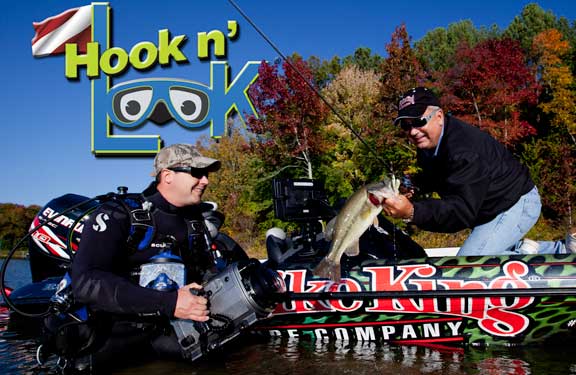 Hook n' Look November 2012 Newsletter