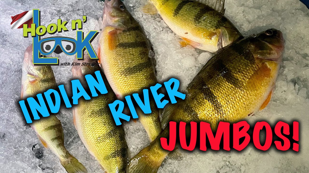 Kim Stricker Productions, Inc. – Specializing in Freshwater Fishing ...