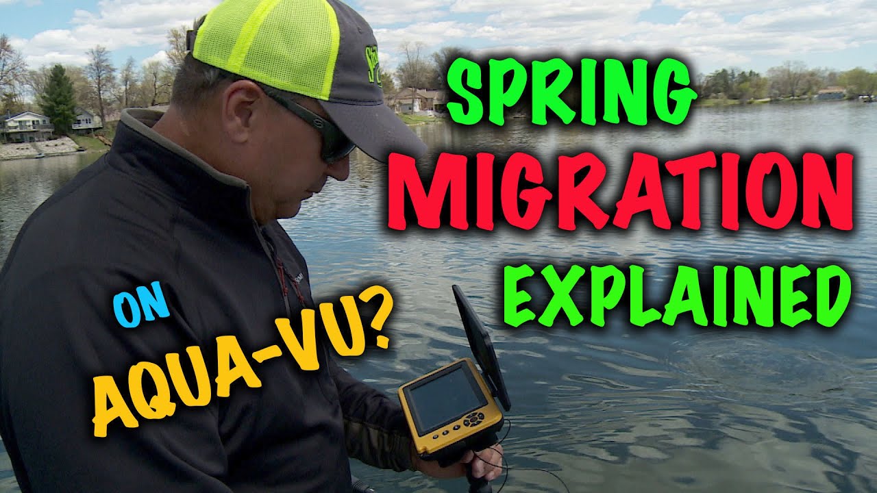 Spring Migration Explained - Kim Stricker Productions, Inc.