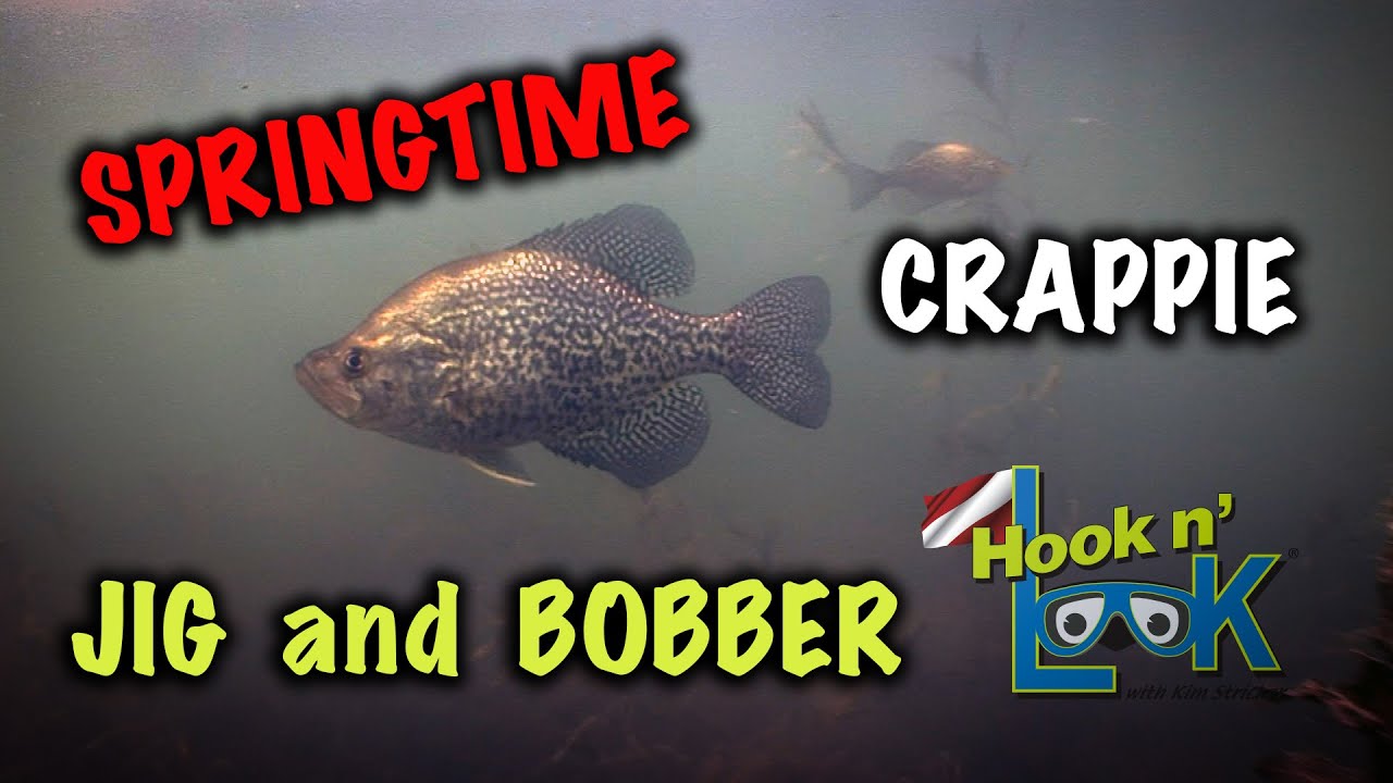 Springtime Crappie with Jig & Bobber - FULL EPISODE - Kim Stricker ...