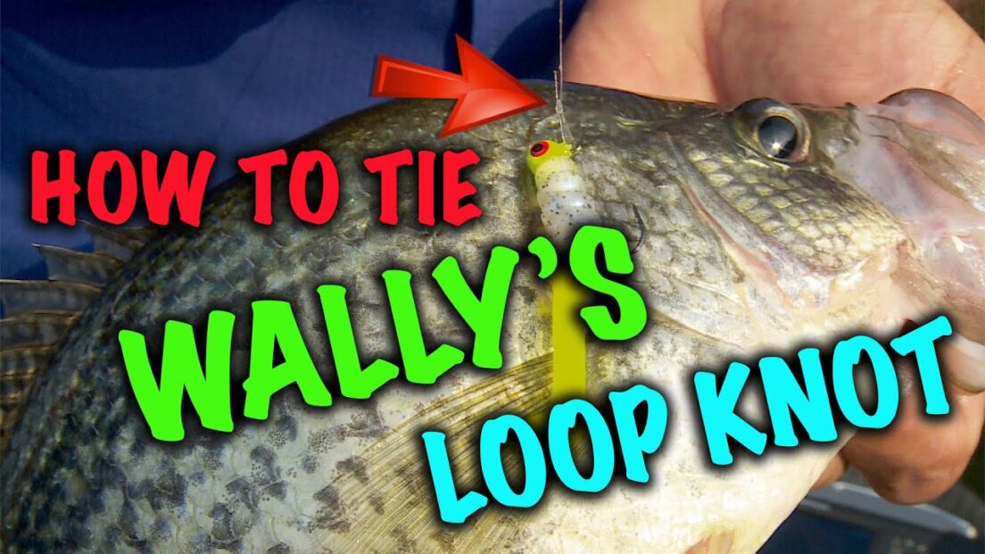 Wally's Loop Knot - Kim Stricker Productions, Inc.